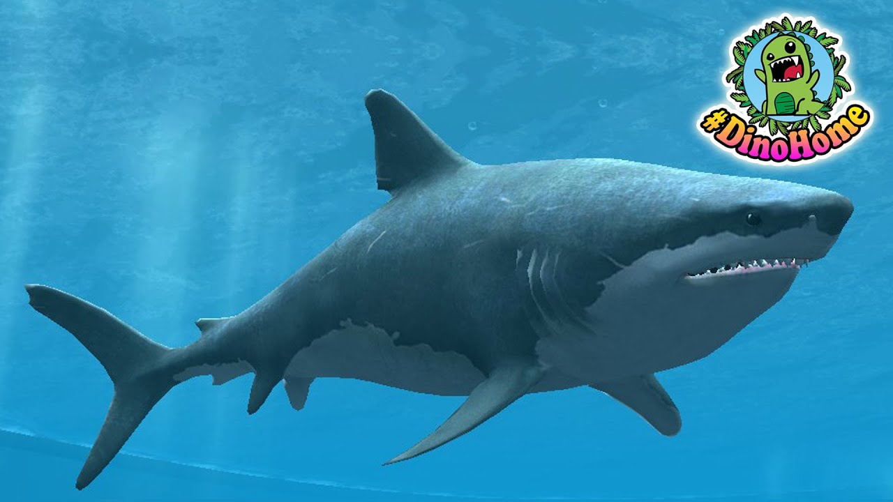 Daddy Finger! Finger Family Song with Dinosaur Shark Evolution Jurassic ...