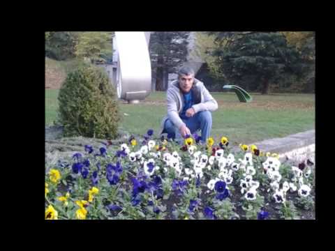 Afaf Ahmed & Ismail Bassam - YouTube