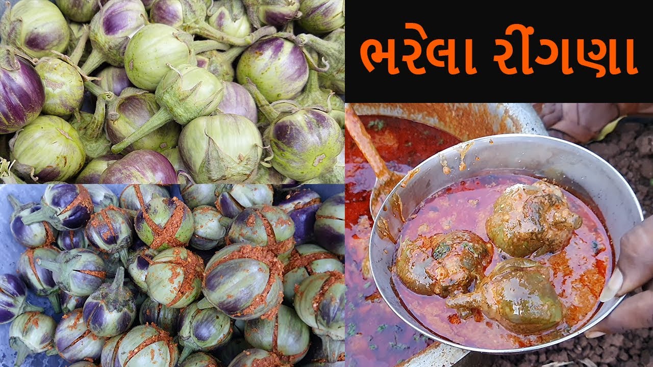 Kathiyavadi Style Aakha Ringna Recipe | Unique Style Bharela Ringna nu ...