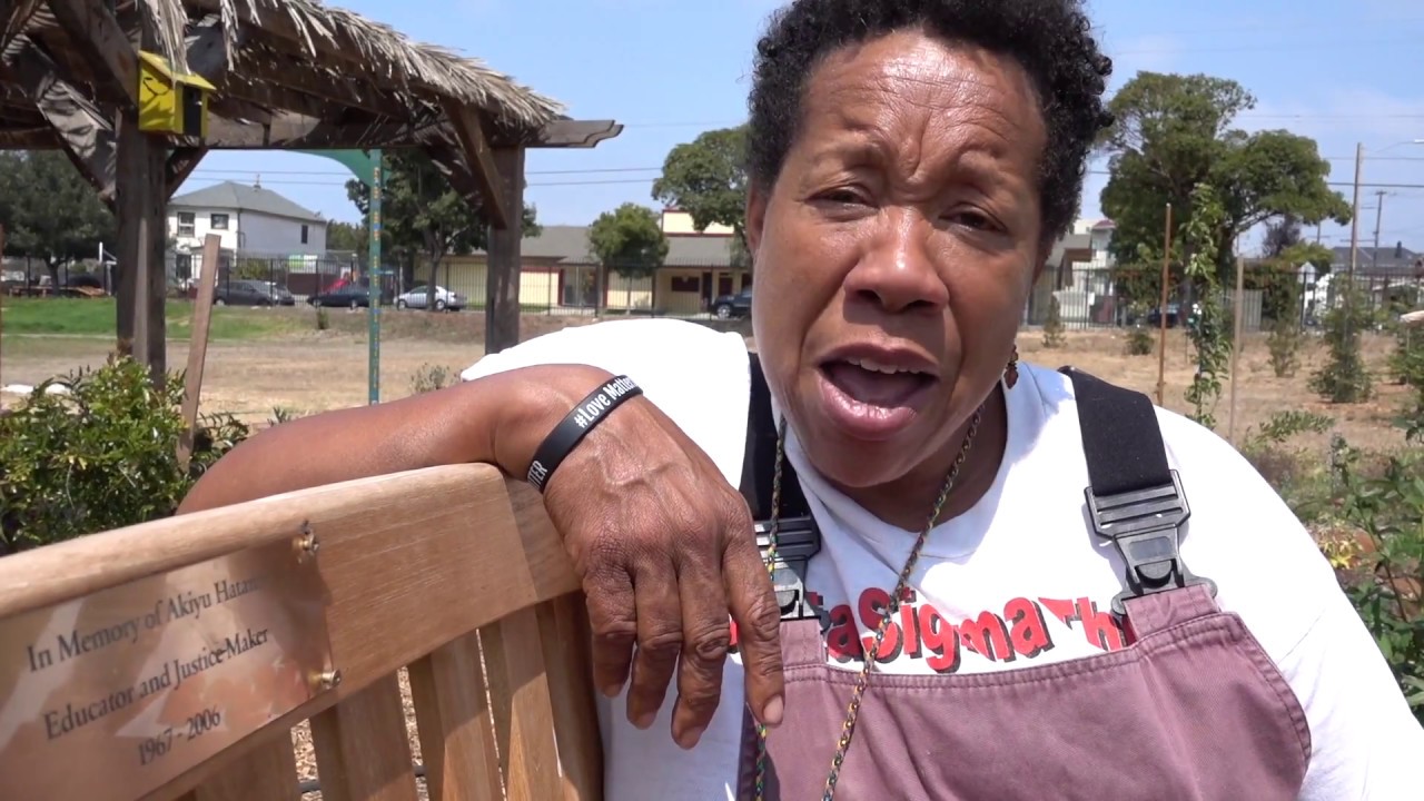 The Brilliant Resilience, Chatting with Wanda Stewart - YouTube