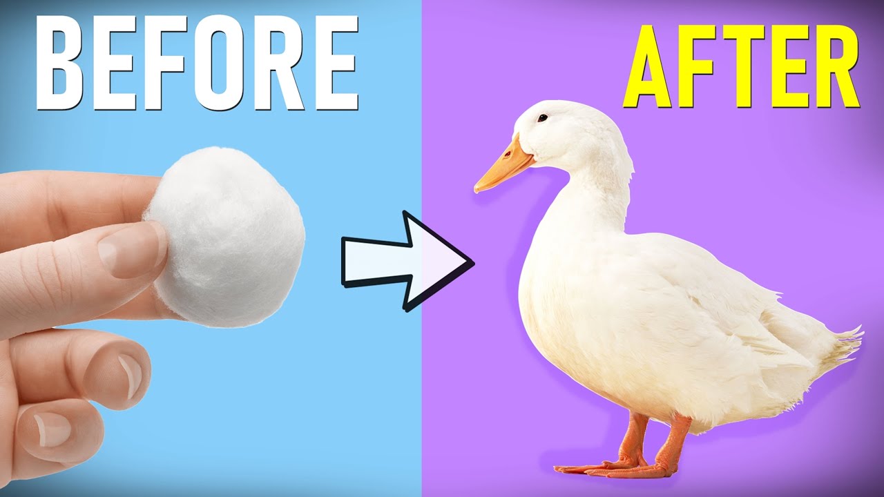 how to make duck with paper - YouTube