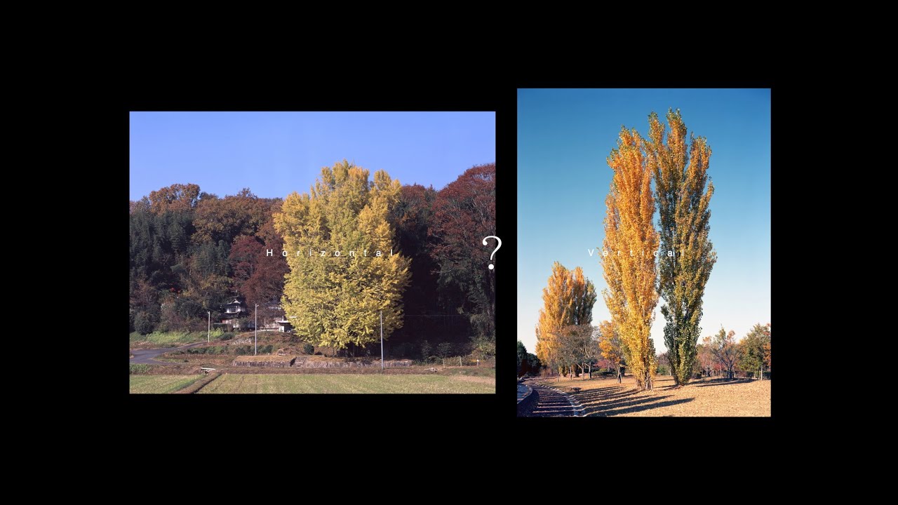 Large Format : Horizontal or vertical composition ? - YouTube