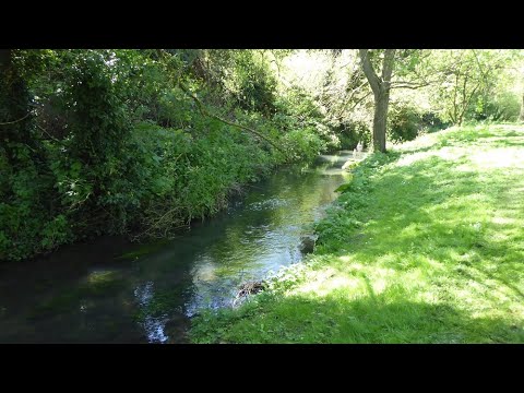 River Cray UK 2020 - YouTube