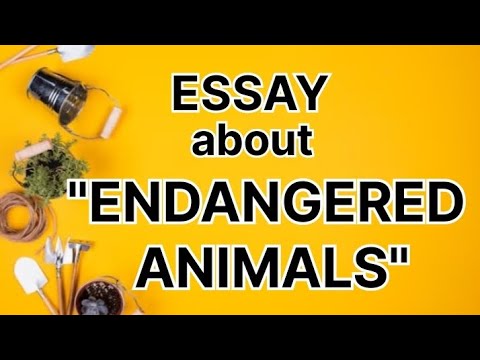 Write an essay about Endangered Animals |Endangered Animals Essay ...