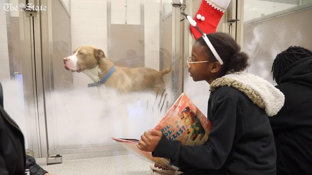 Doby Mills Elementary School students read to shelter dogs - YouTube