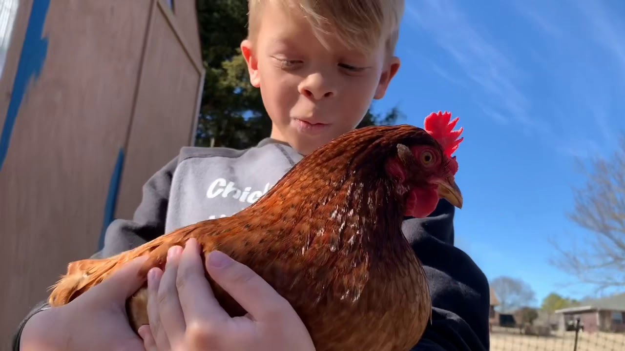 Godzilla Chicken!!! - YouTube