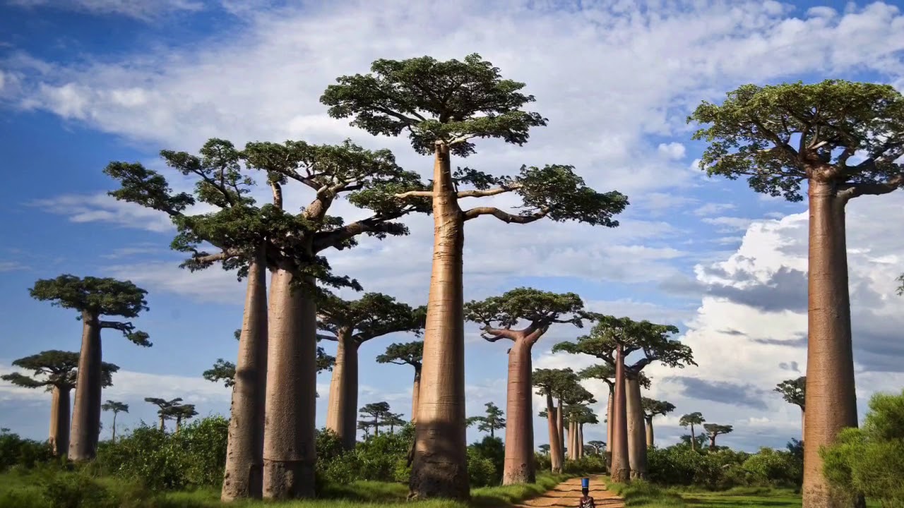 Angelic Light Language ~ Scriptures 131, 132 & 133 channeled from Mary ...