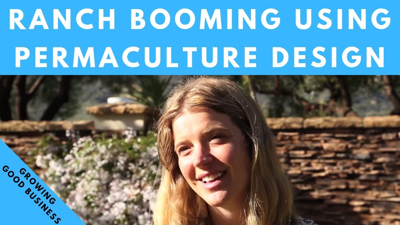 Permaculture design based ranch booming using holistic ranch management ...