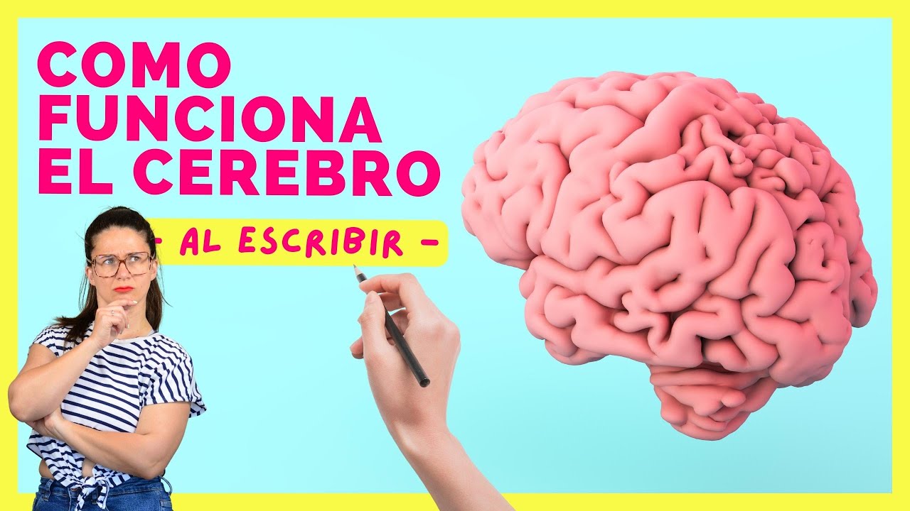 🖊 APRENDER a ESCRIBIR ️ ¿Cómo funciona el CEREBRO al ESCRIBIR? 🧠 El ...