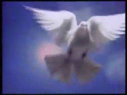 lesbian horse - peace, pot & microdots.wmv - YouTube