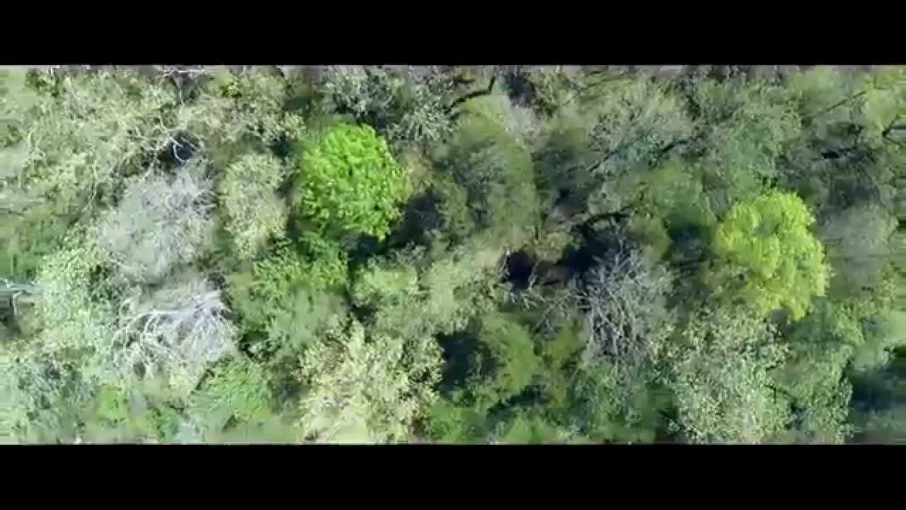 Bird's Eye View of Spring - YouTube