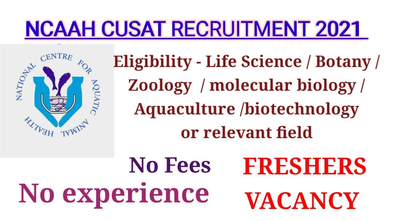 NCAAH recruitment | freshers vacancy at ncaah 2021 - YouTube