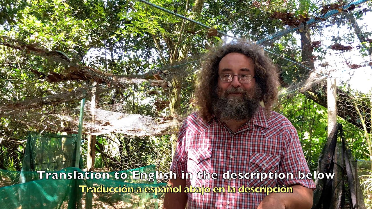 Dr. Gil Rosenthal talks about the origins of CICHAZ [ITALIAN AUDIO ...