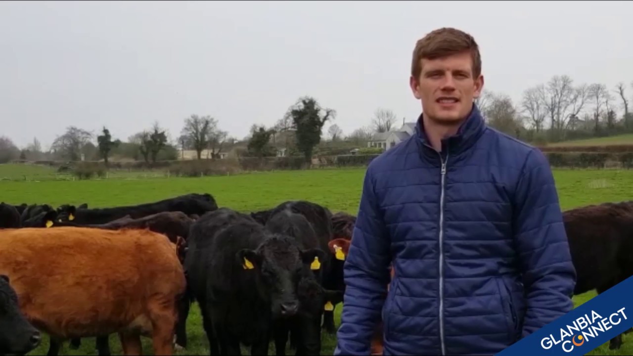 Protecting calves and lambs from Clostridial Disease with John Heslin ...