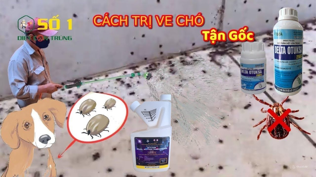 CÁCH TRỊ VE CHÓ TẬN GỐC | THUỐC TRỊ VE CHÓ TẬN GỐC | TRỊ VE CHÓ - YouTube