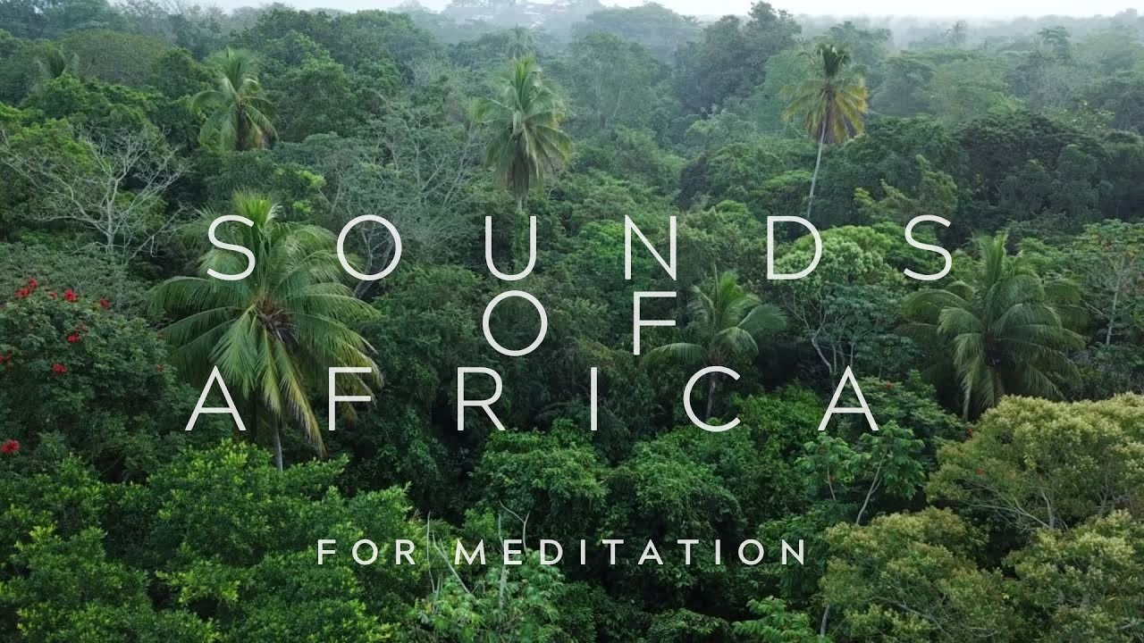Soothing Sounds of African Nature for Deep Relaxation - YouTube