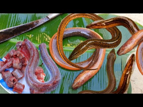 কুচিয়া মাছৰ জালুকীয়া/জোল | Kusia masor jul | Assamese Eel fish curry ...