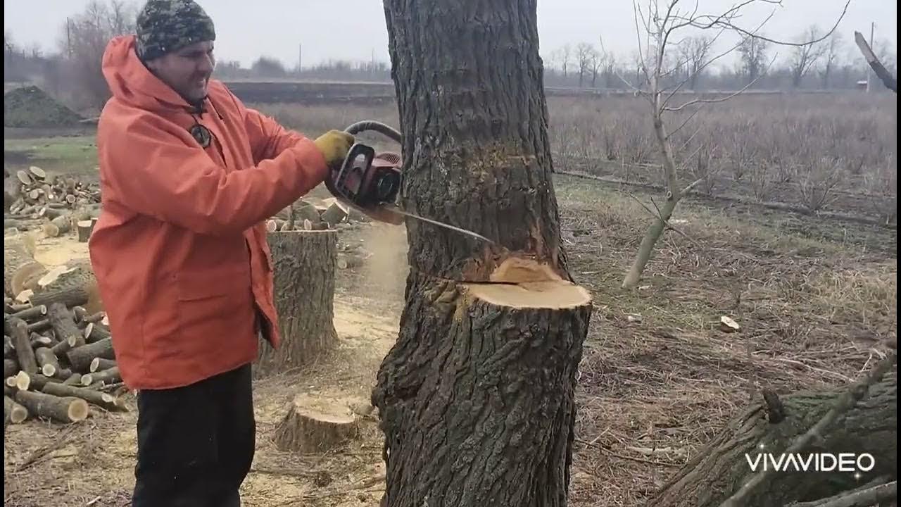 Новий ланцюг і шина на бензопилу. - YouTube