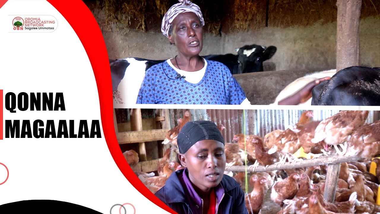 Jiraattonni Magaalaa Garba Gurraachaa qonna magaalaa irraa fayyadamuu ...
