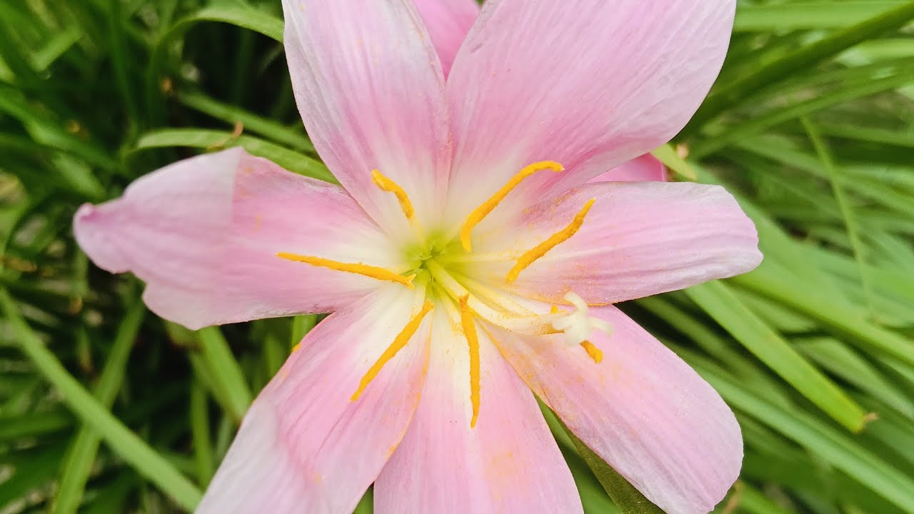 Ravina Singh is live-1 - YouTube