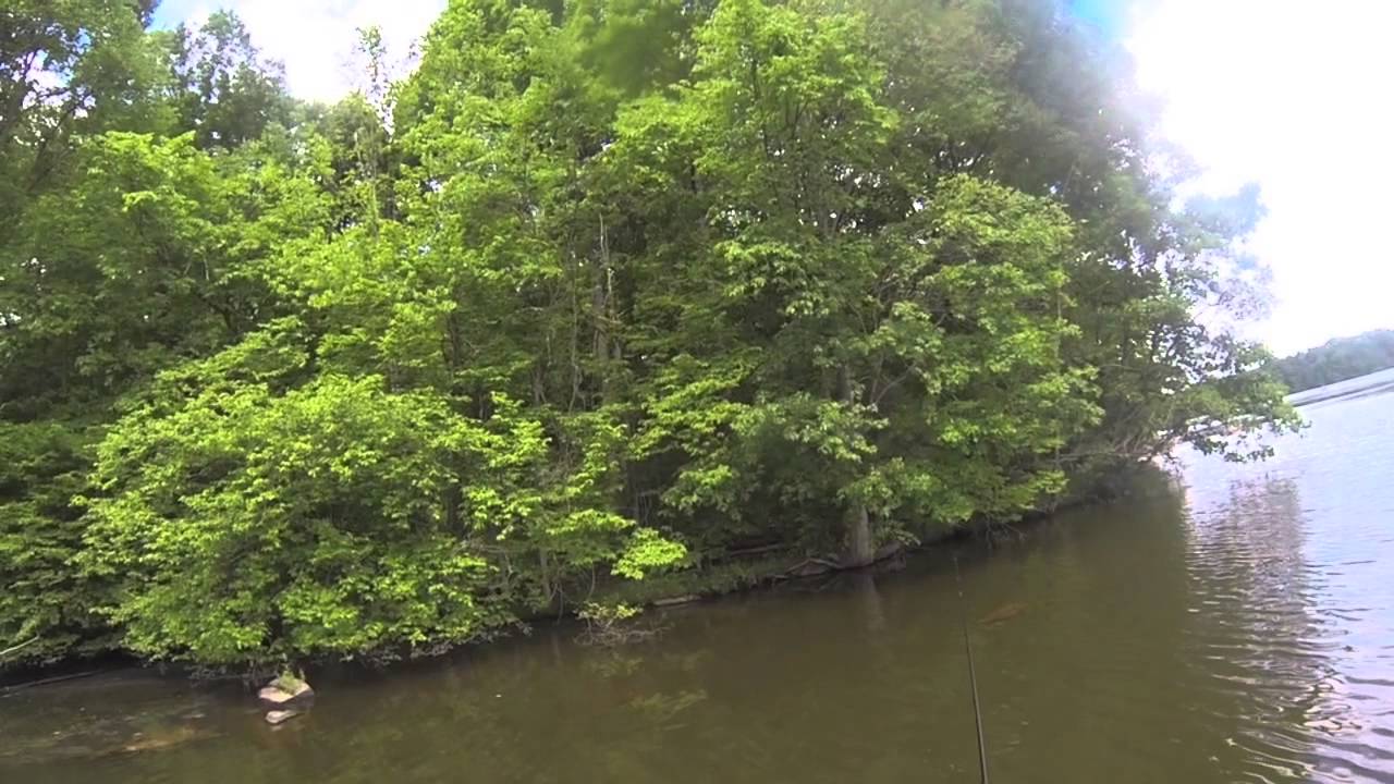 Lake Redman and Pinchot lake - LargeMouth Bass - YouTube