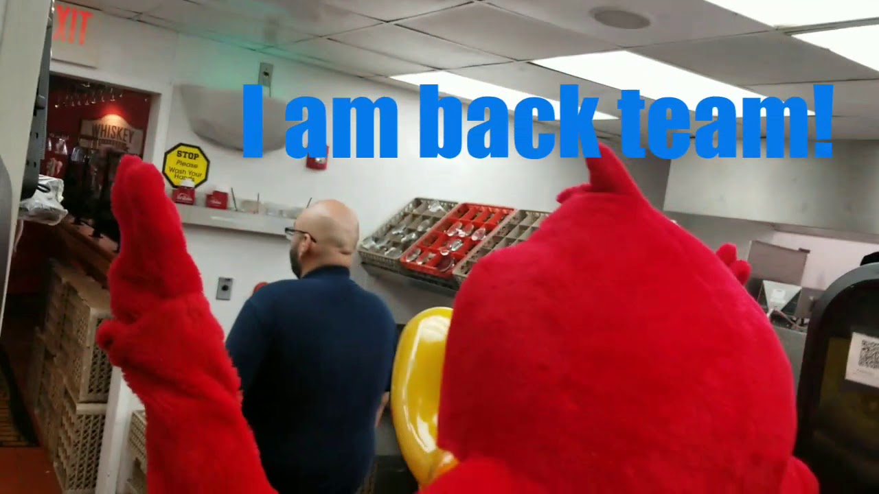Red Robin is Back - YouTube