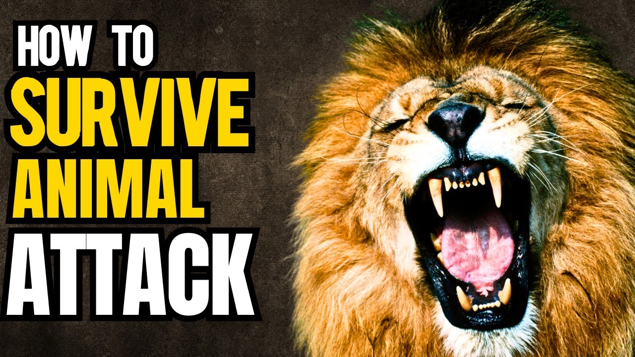 TOP TIPS ON HOW TO SURVIVE WILD ANIMAL ATTACK - YouTube