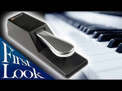 8 Best Sustain Pedals (Spring 2026) – Reviews & Buying Guide
