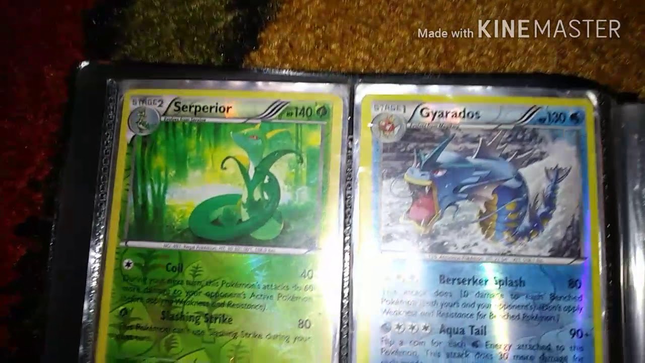 Pokemon Card Showcase!! - YouTube