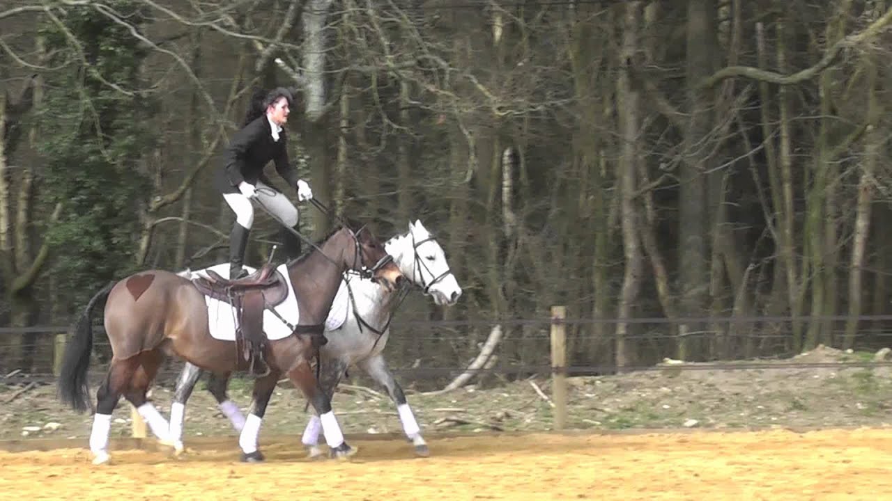 Roman Ride Dressage test by Nicky De Neumann, Equestrienne Stunt Shows ...