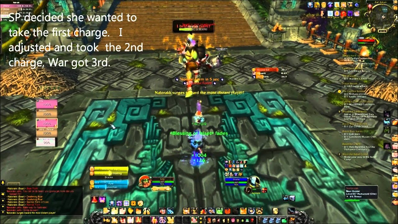 WoW 4.1 - Zul'Aman - Nalorakk - Holy Paladin PoV - YouTube