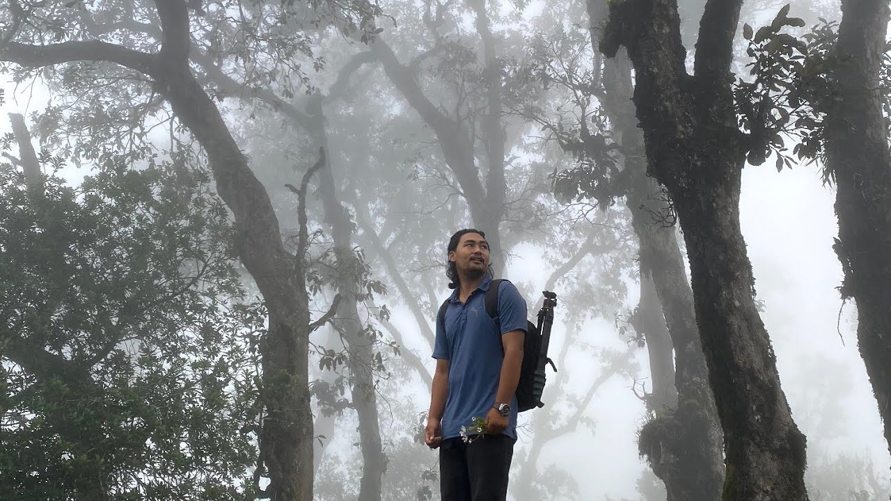 Murulle in monsoon hiking holeri hill station Rolpa @raymonmagar - YouTube