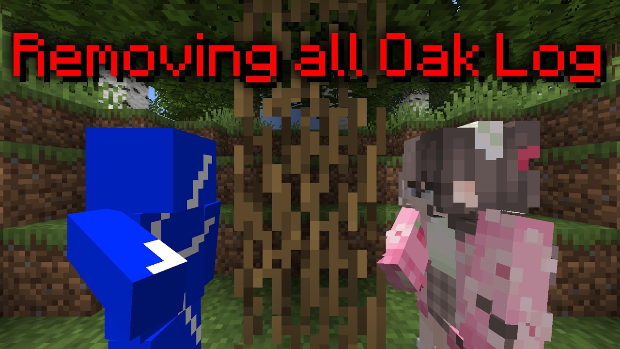 Minecraft, But Blocks Get Removed... - YouTube