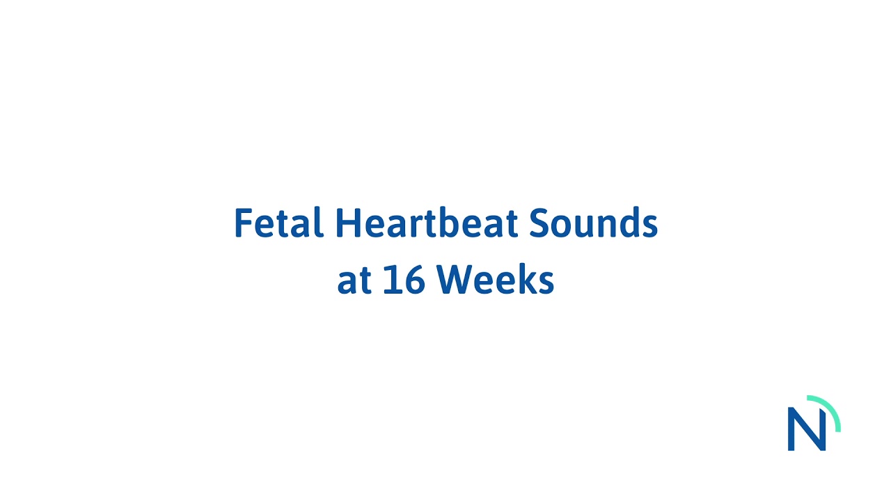 Neeva Baby - Fetal Heartbeat Sounds - YouTube