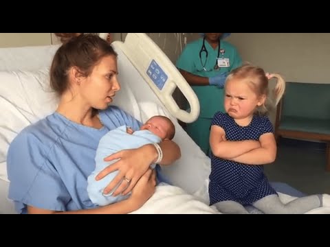 😂 Baby Thinks He’s the Boss… Parents Can’t Stop Laughing!