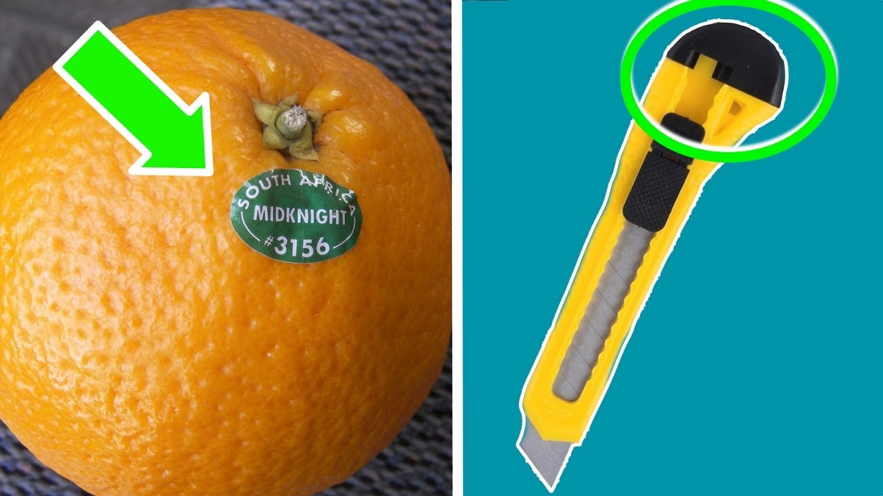 5 common THINGS YOU DON'T KNOW THE PURPOSE OF! | Secrets of everyday ...