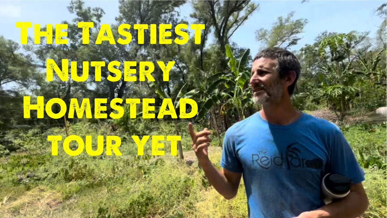 Best Homestead Nursery tour yet !!! - YouTube