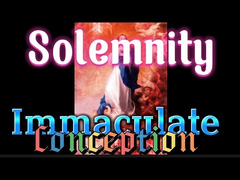 Homily/Reflection on the Solemnity of the Immaculate Conception of the ...