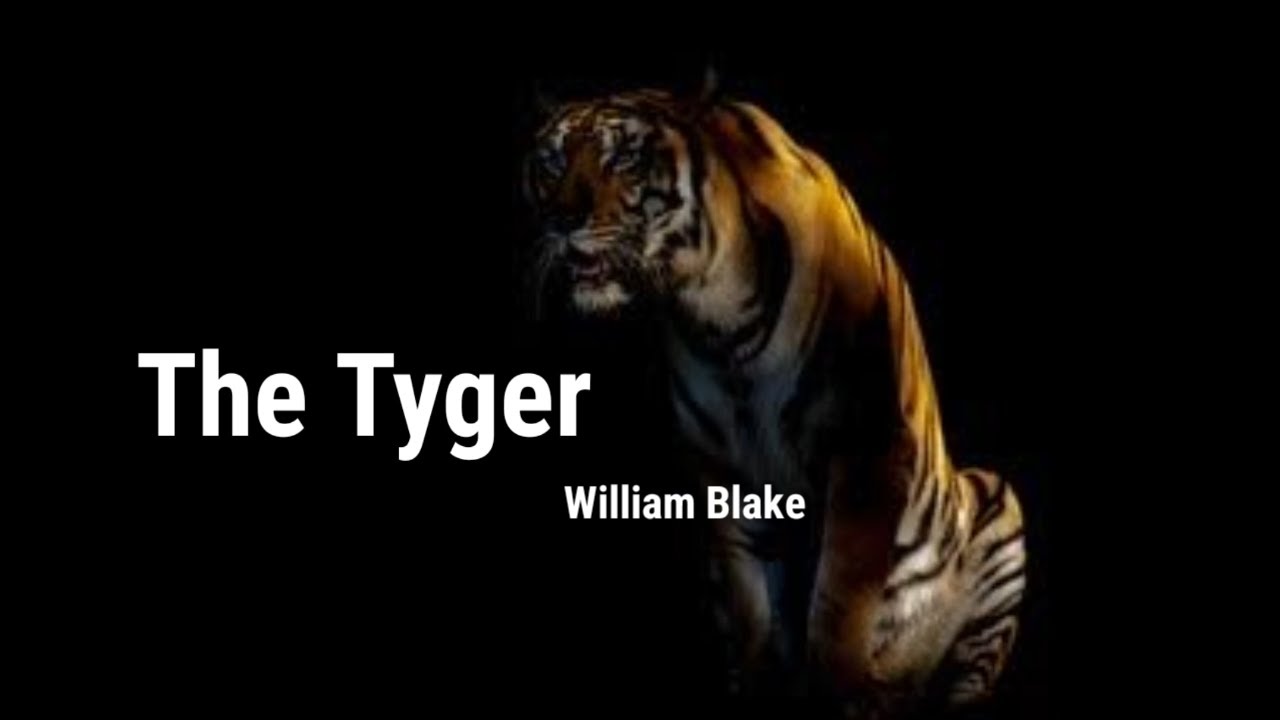 the tyger william blake | The Tyger poem | The tiger poem by William ...