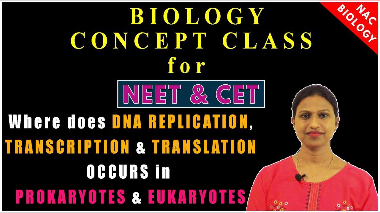 DNA Replication Transcription & Translation | NEET | CET - YouTube