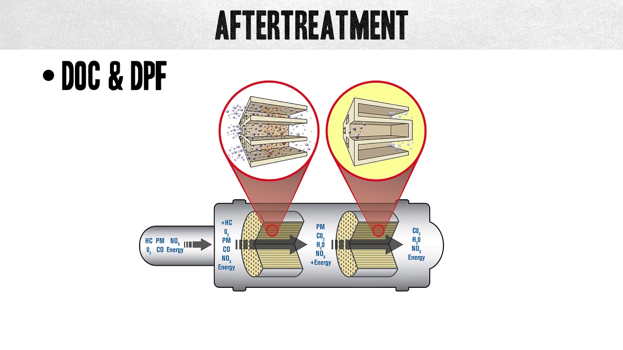 N13 Training - Full - YouTube