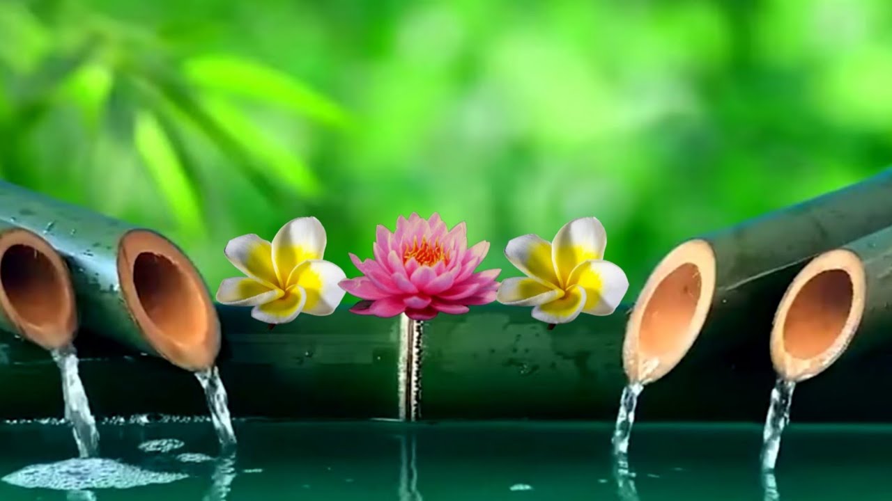 Relaxing piano music, Sleep music, Relaxing music, water sounds, Piano ...
