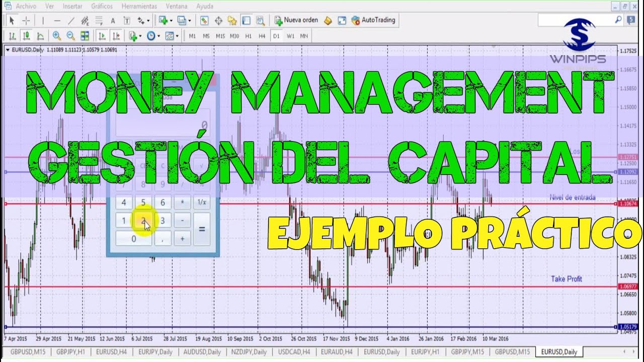 Ejemplo de gestión del capital en Forex (money management) - Winpips ...