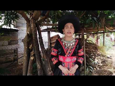 thib 20 lub 10 hli paj xyoob vaj zaj kwv thiaj hais rau nyiaj tswb thoj - YouTube