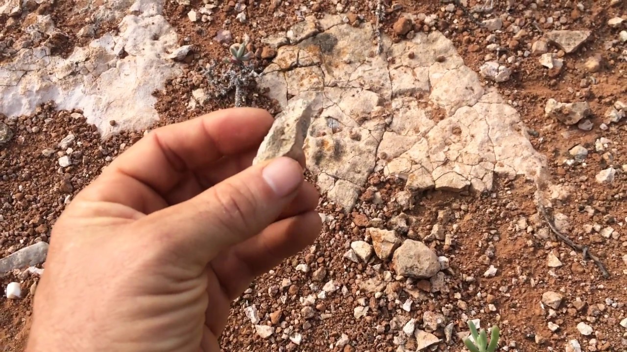 Geology for digging burrowing animals in The Meerkat Magic Valley ...