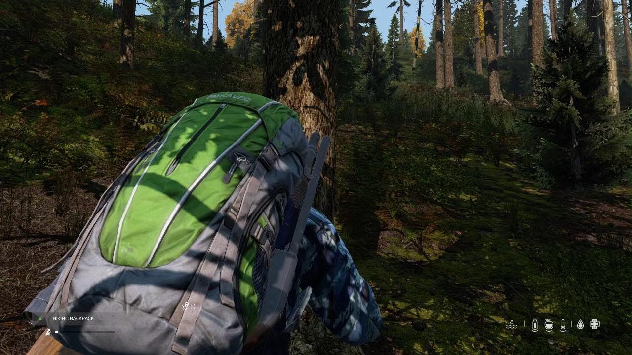 DayZ stalking a stag - YouTube