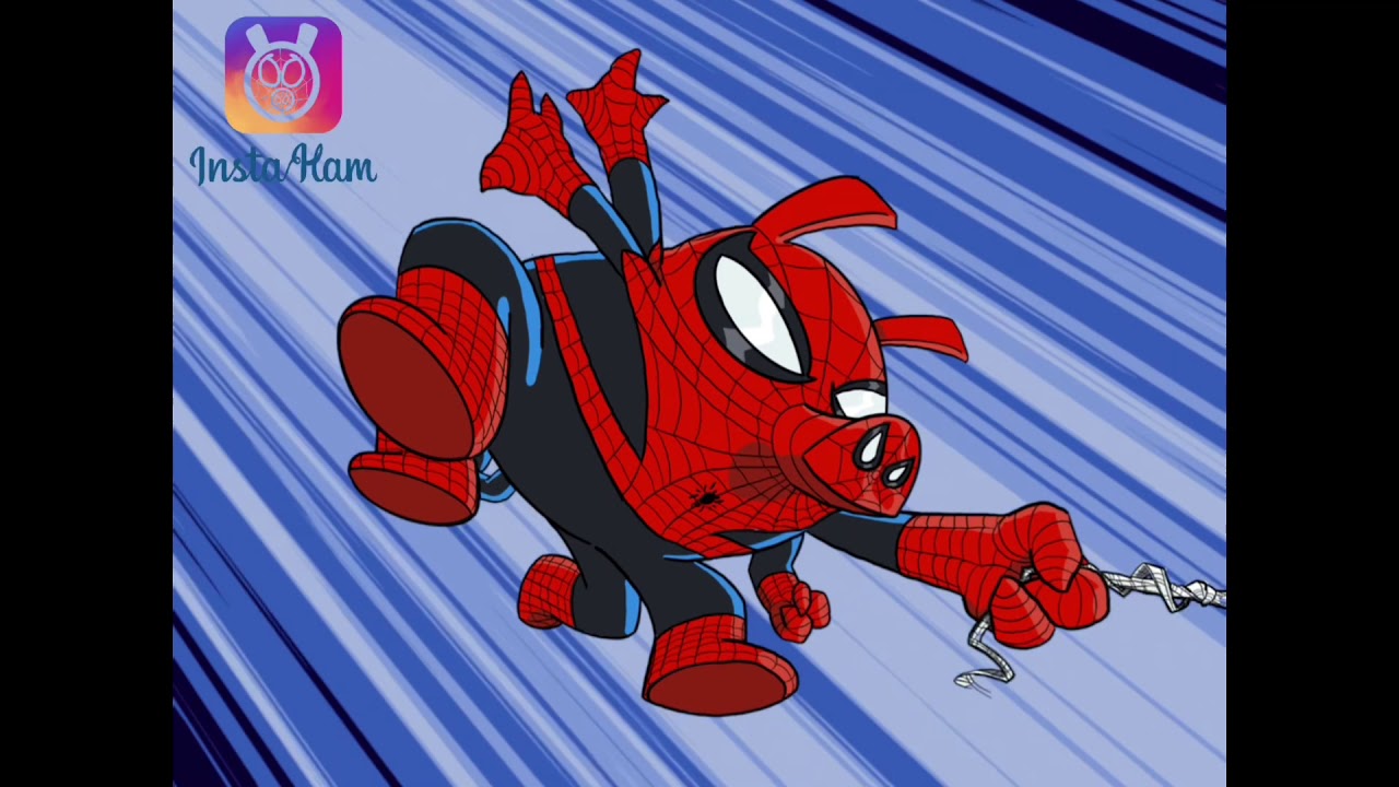Ham-Spider the Pig Spider! - YouTube