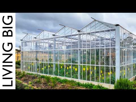 He Built a Tiny House Inside a Massive Greenhouse