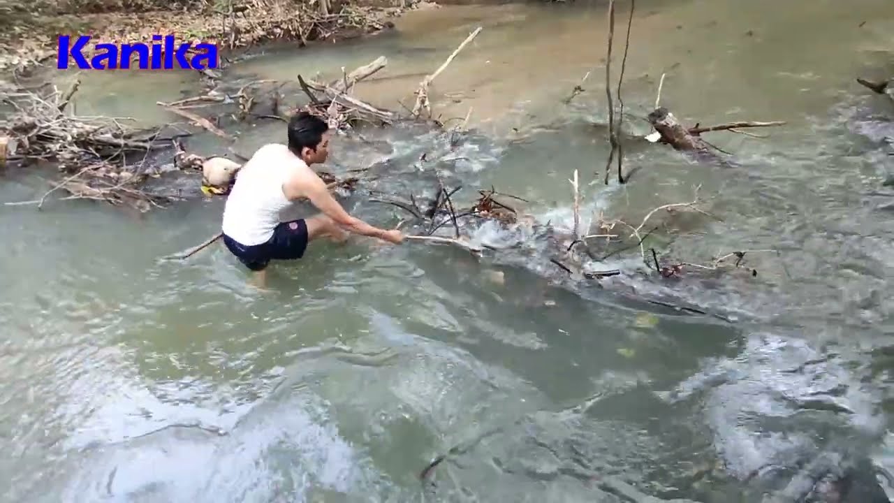 Massive Clogged Drain!!! Remove Woods Clogged Canal Drain - YouTube