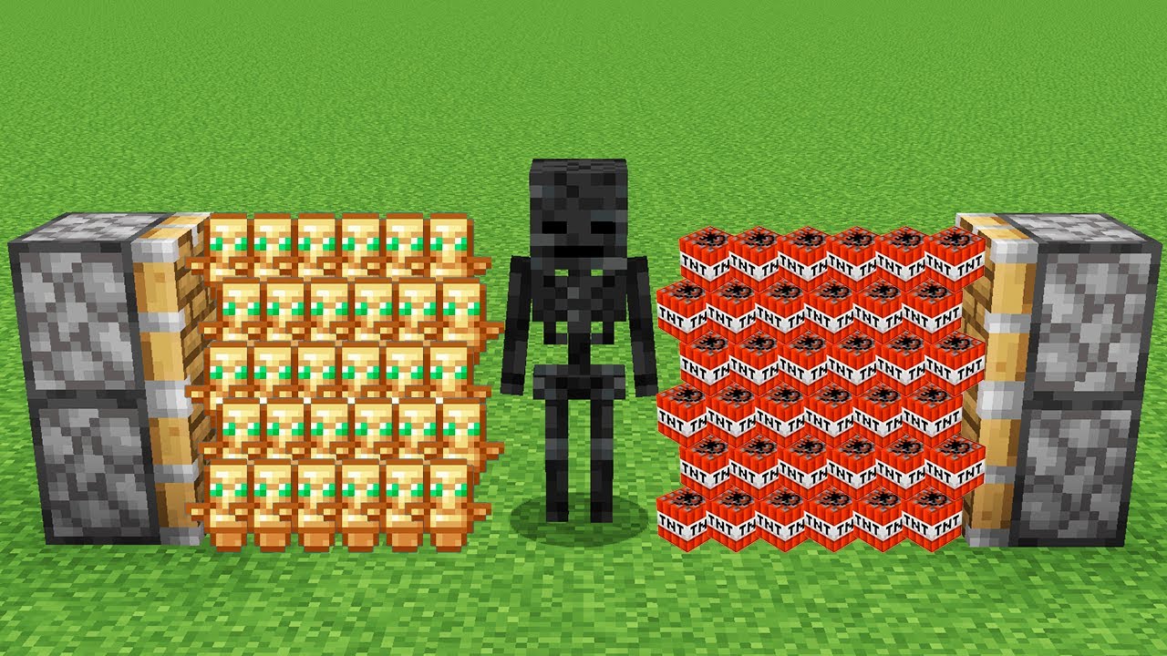 10000 totem + Wither Skeleton + 10000 TNT = ? - YouTube